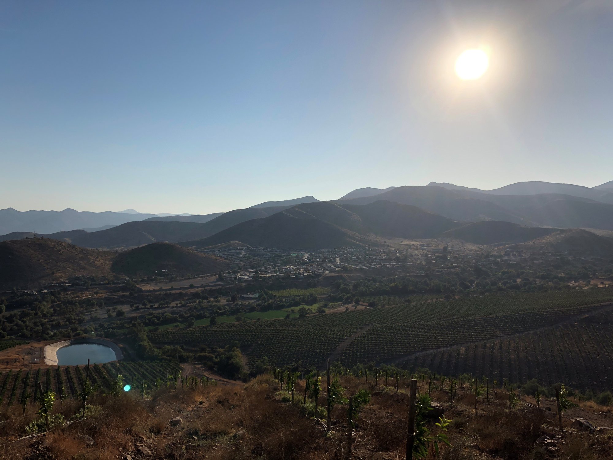 A Trip to Chile to Visit Our Citrus Groves