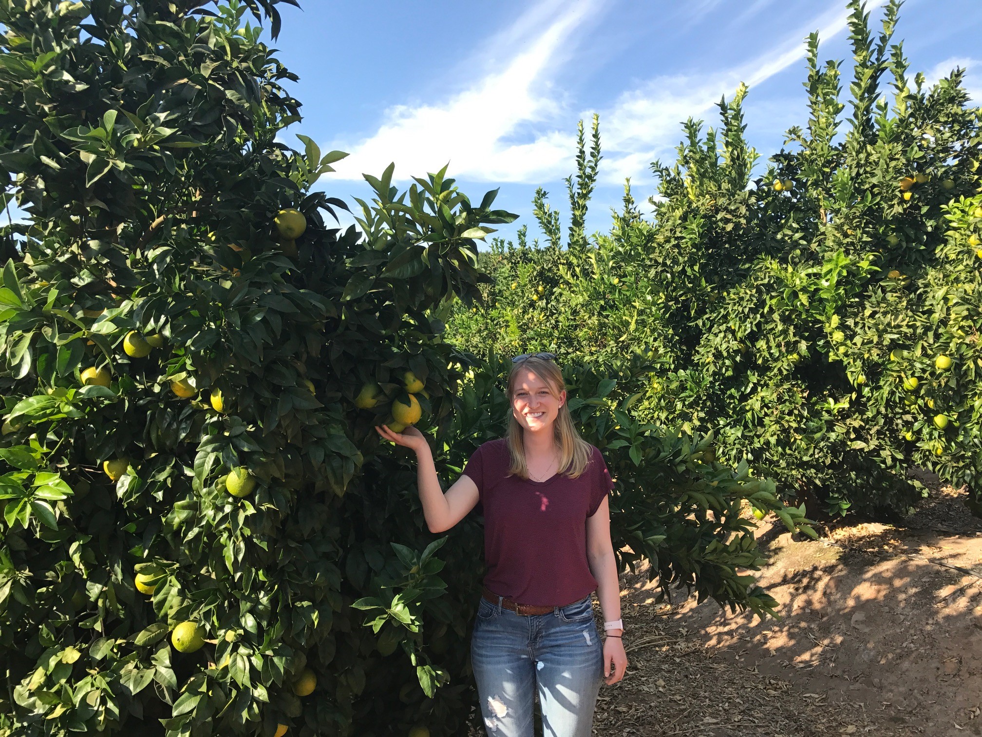 A Trip to Chile to Visit Our Citrus Groves
